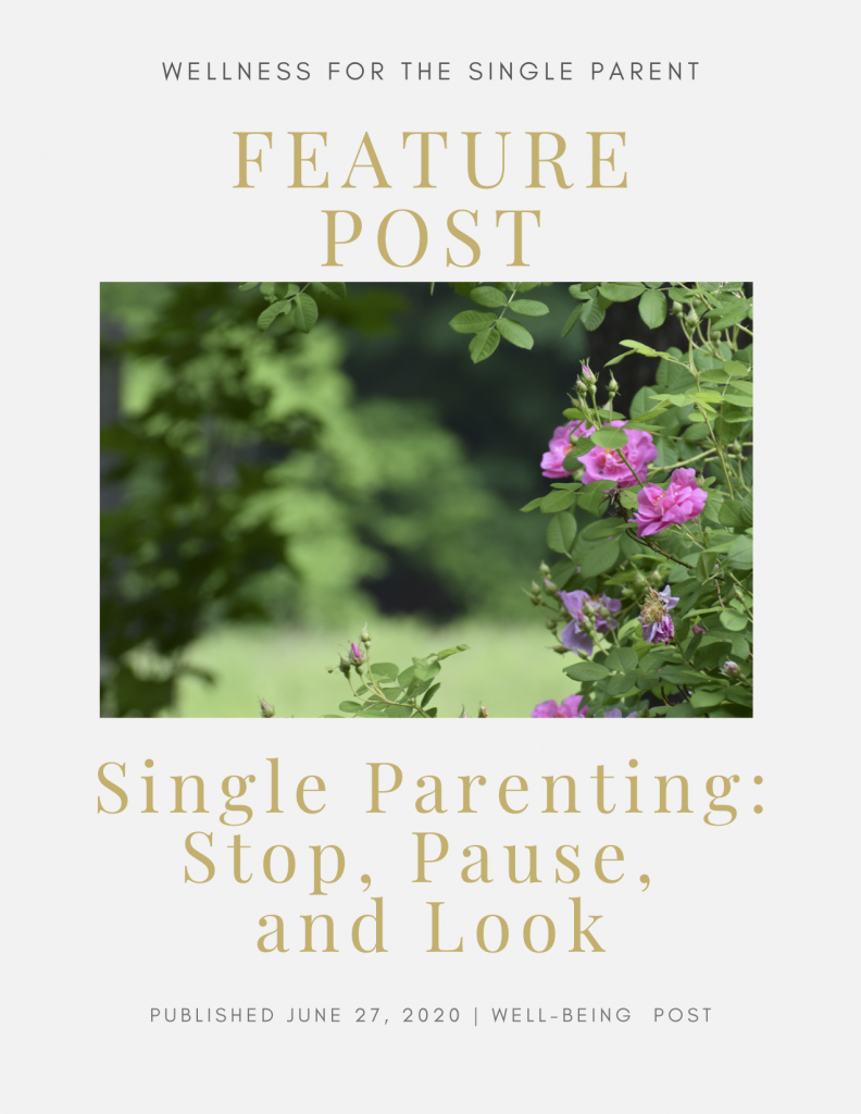 Wellness For The Single Parent